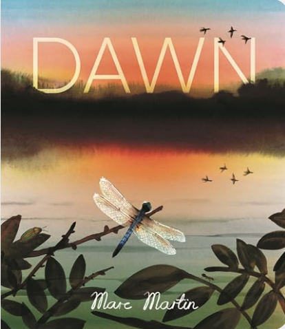 Dawn – MSL Book Review